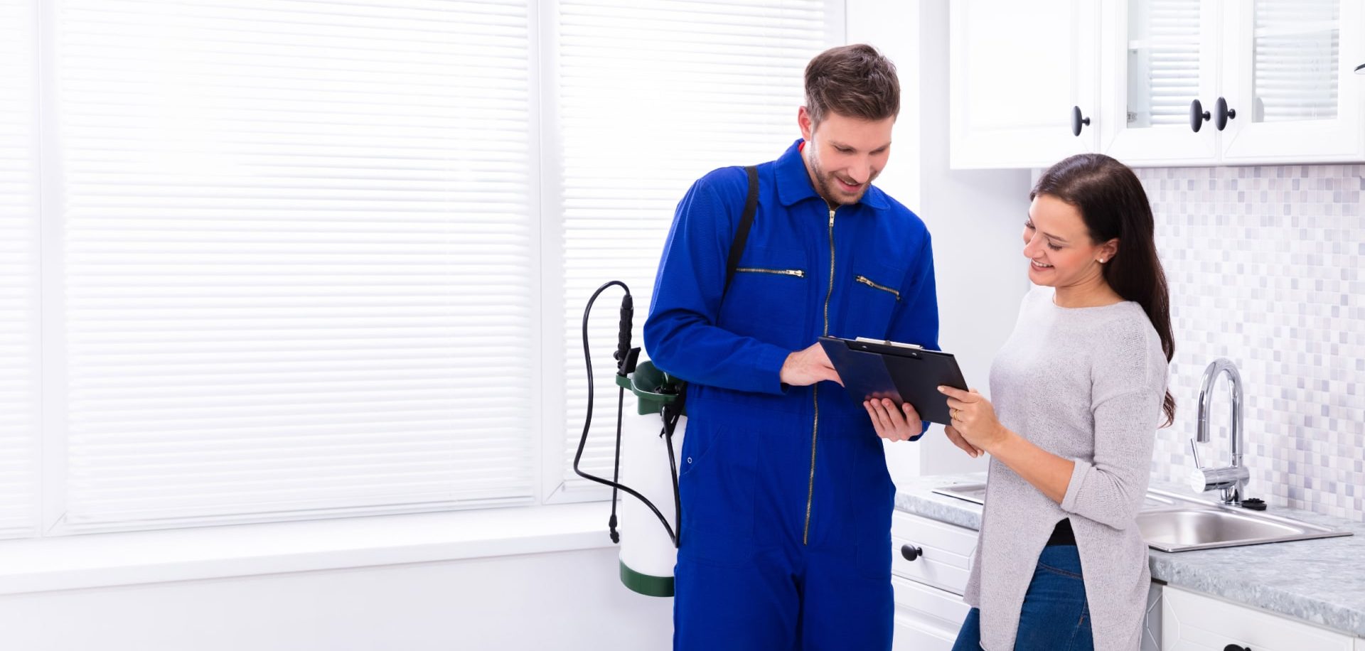 Termite Inspections in Maryland | Protect Your Home